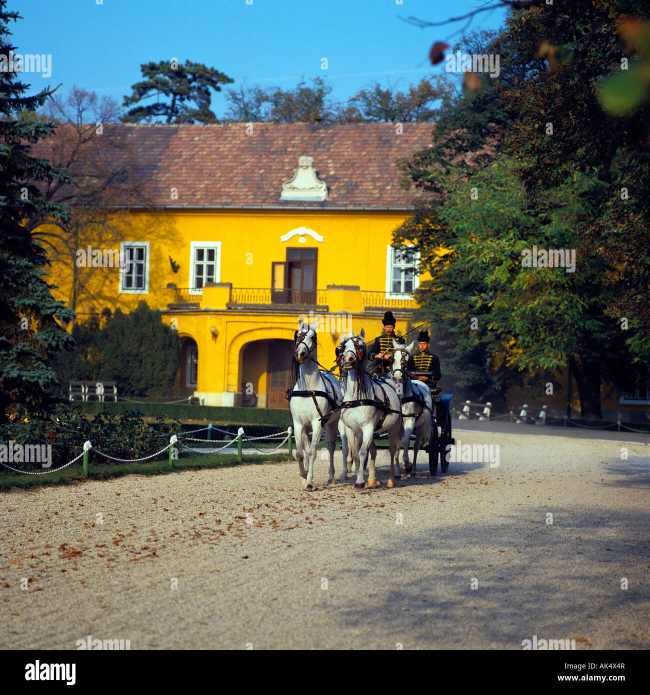 Babolna hi-res stock photography and images - Alamy