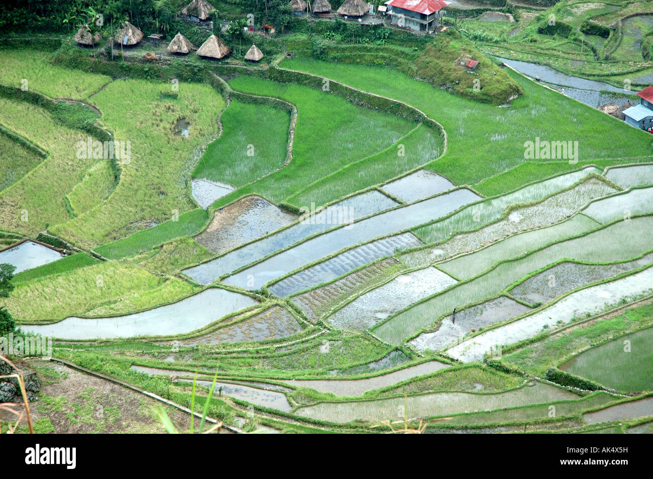 Isolated Town of Batad amongst rice terraces in Northern Philippines ...