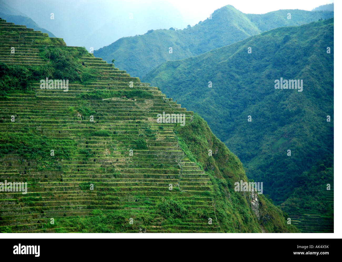 rice terraces in luzon near batad in the philippines Stock Photo - Alamy