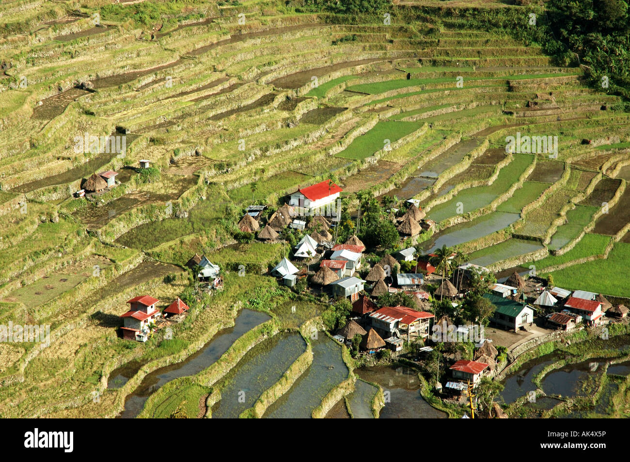 Isolated Town of Batad amongst rice terraces in Northern Philippines ...