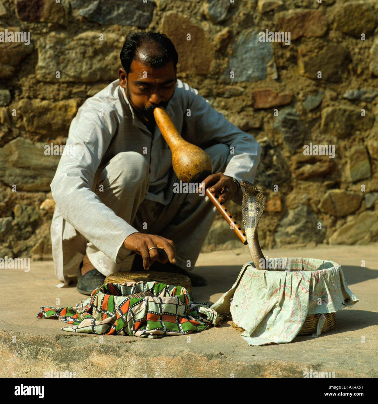 Asiatic snakes hi-res stock photography and images - Alamy