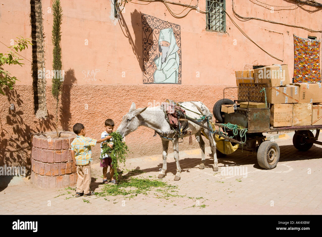 child boy Morocco Moroccan poor farming Stock Photo - Alamy