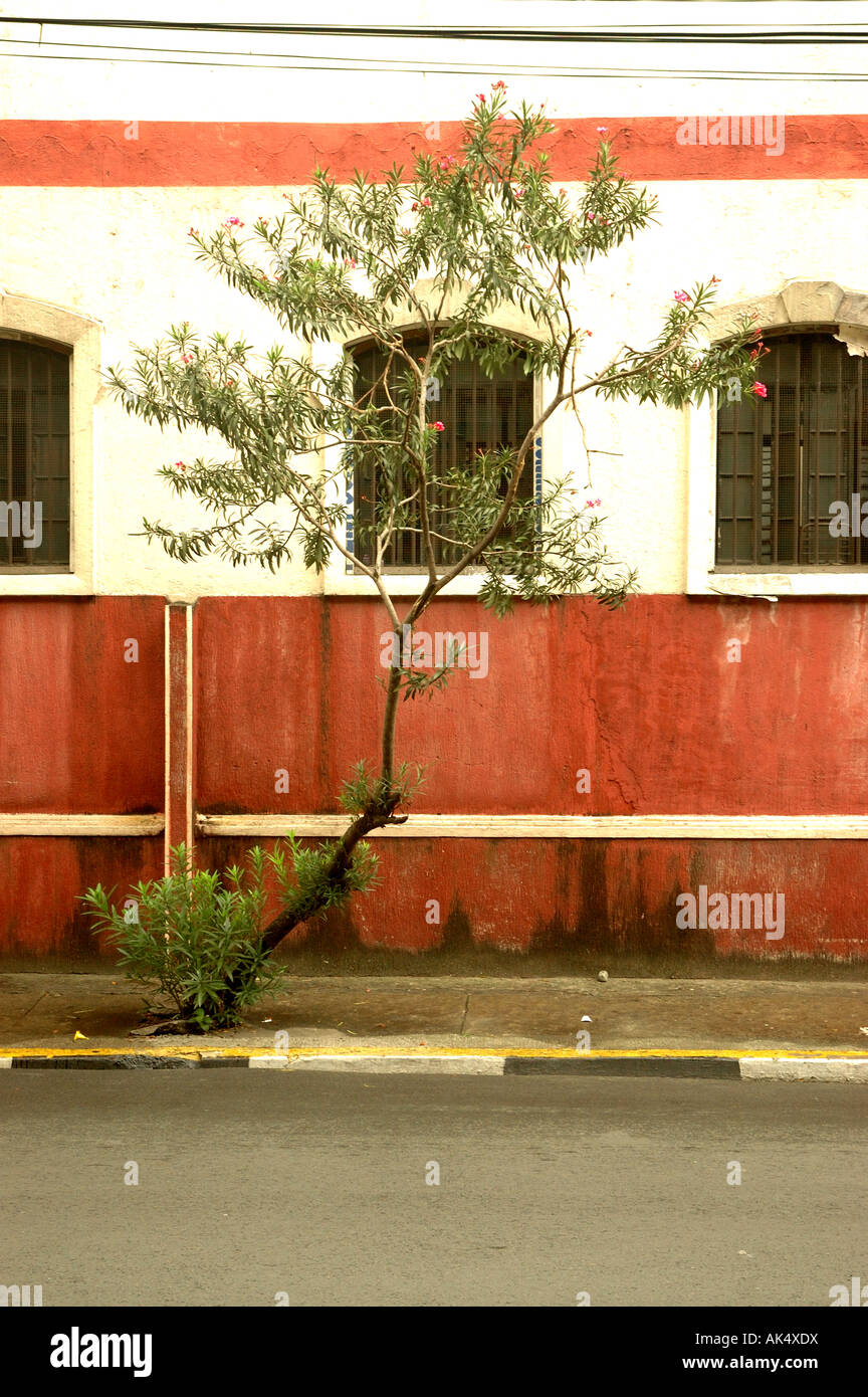 old spanish colonial area of Intramuros in Manila in the philippines ...