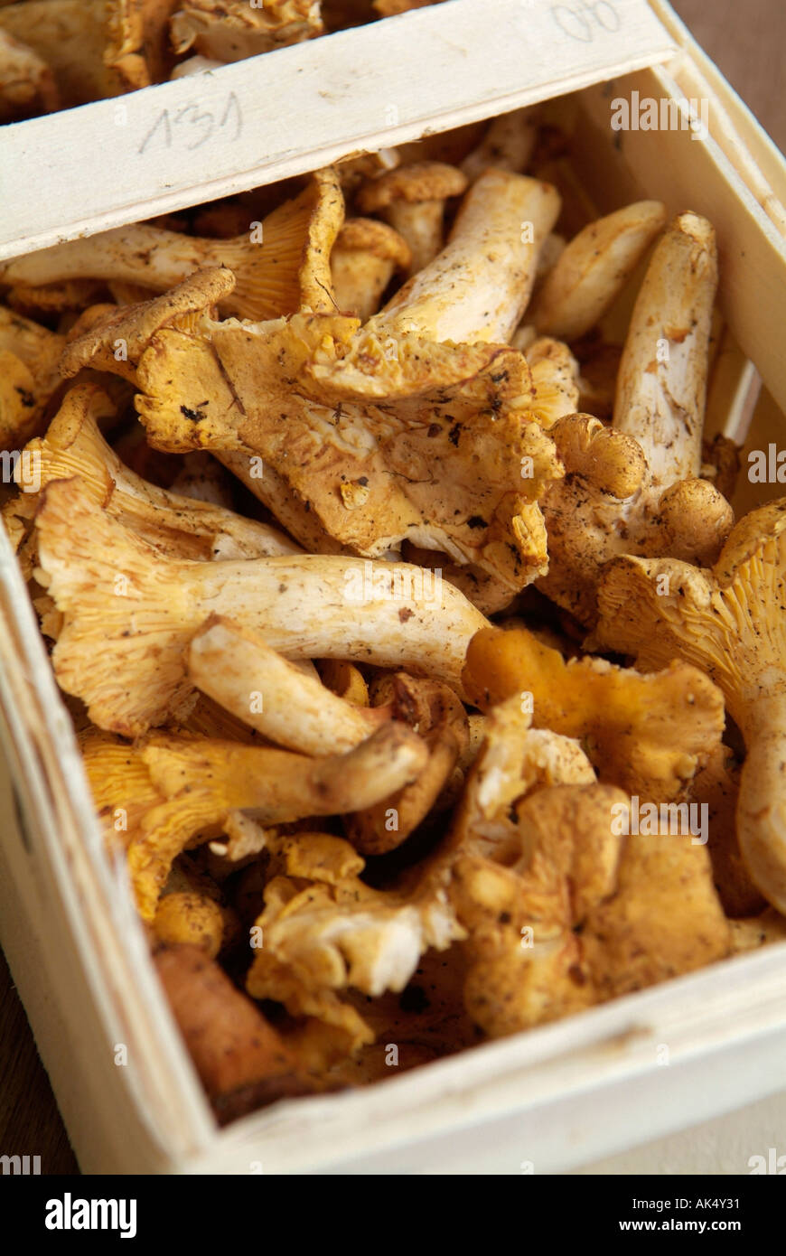 Pfifferlinge hi-res stock photography and images - Alamy