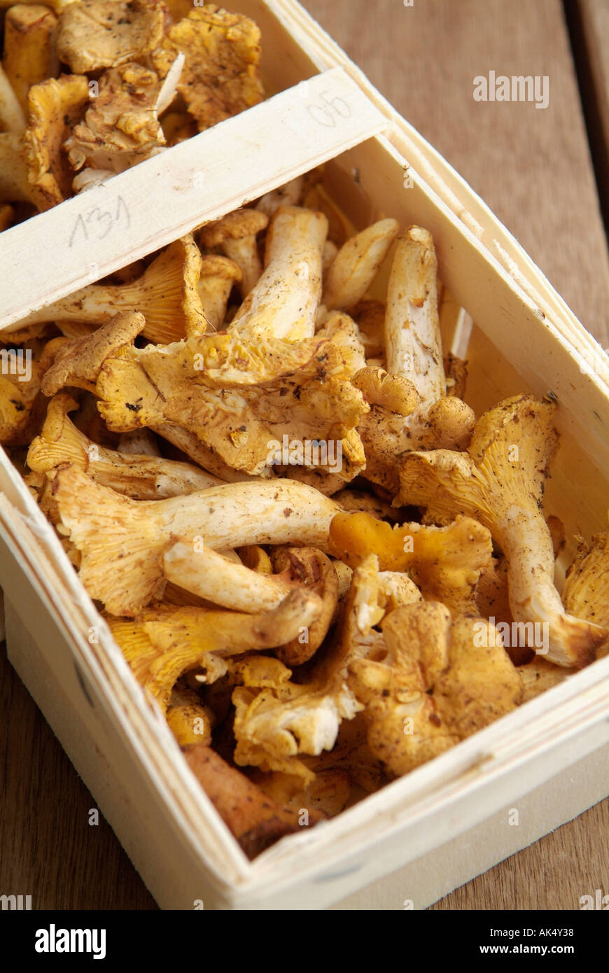 Pfifferlinge hi-res stock photography and images - Alamy