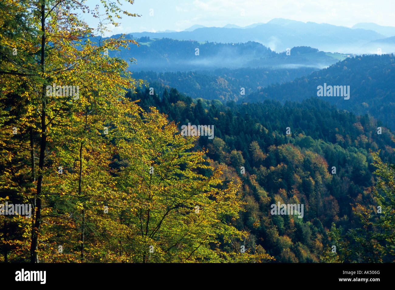 Bregenz bregenzerwald hi-res stock photography and images - Alamy