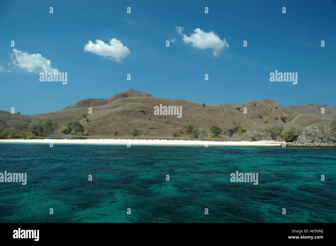 Beach and coral reef around the Island of Komodo in Indonesia Stock ...