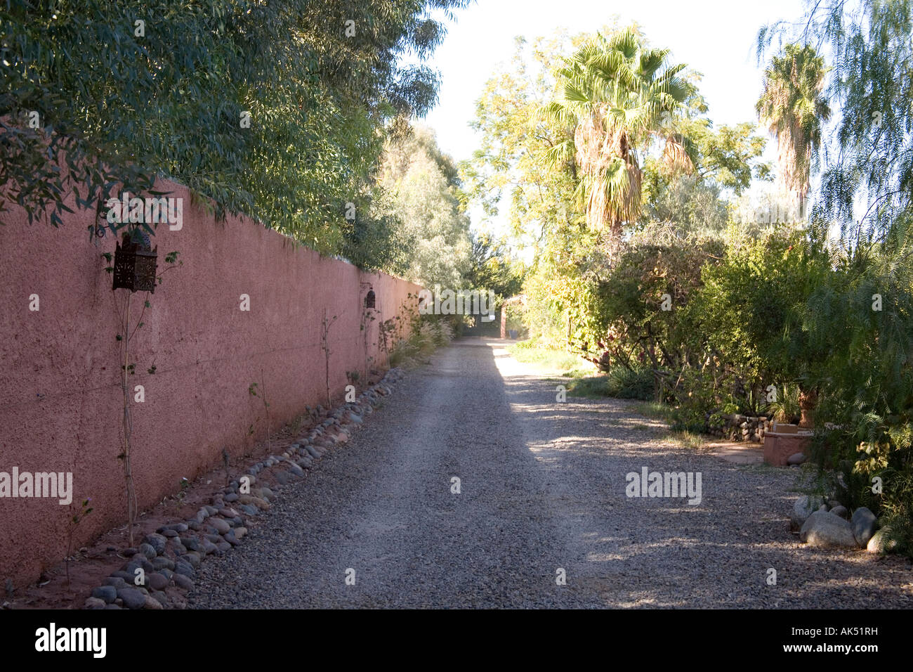 Tropical Gardens, Marrakesh, Morocco, Africa Stock Photo - Alamy