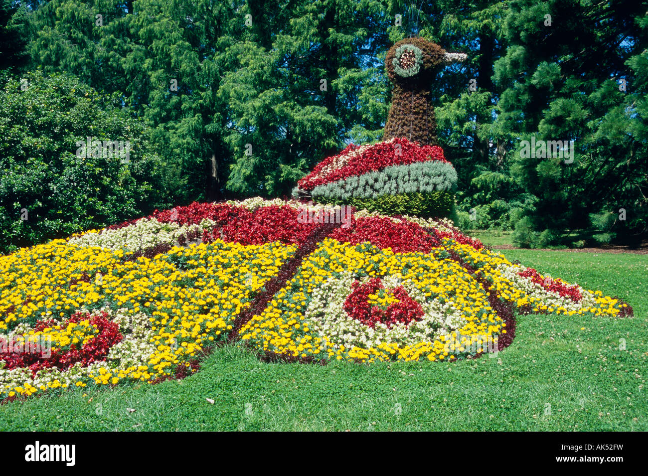 Mainau peacock hi-res stock photography and images - Alamy