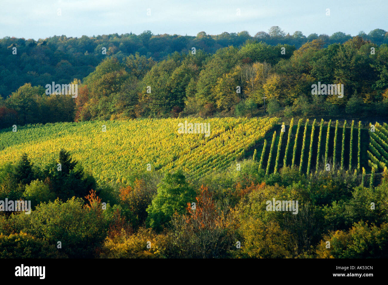 Steigerwald / Franken Stock Photo - Alamy