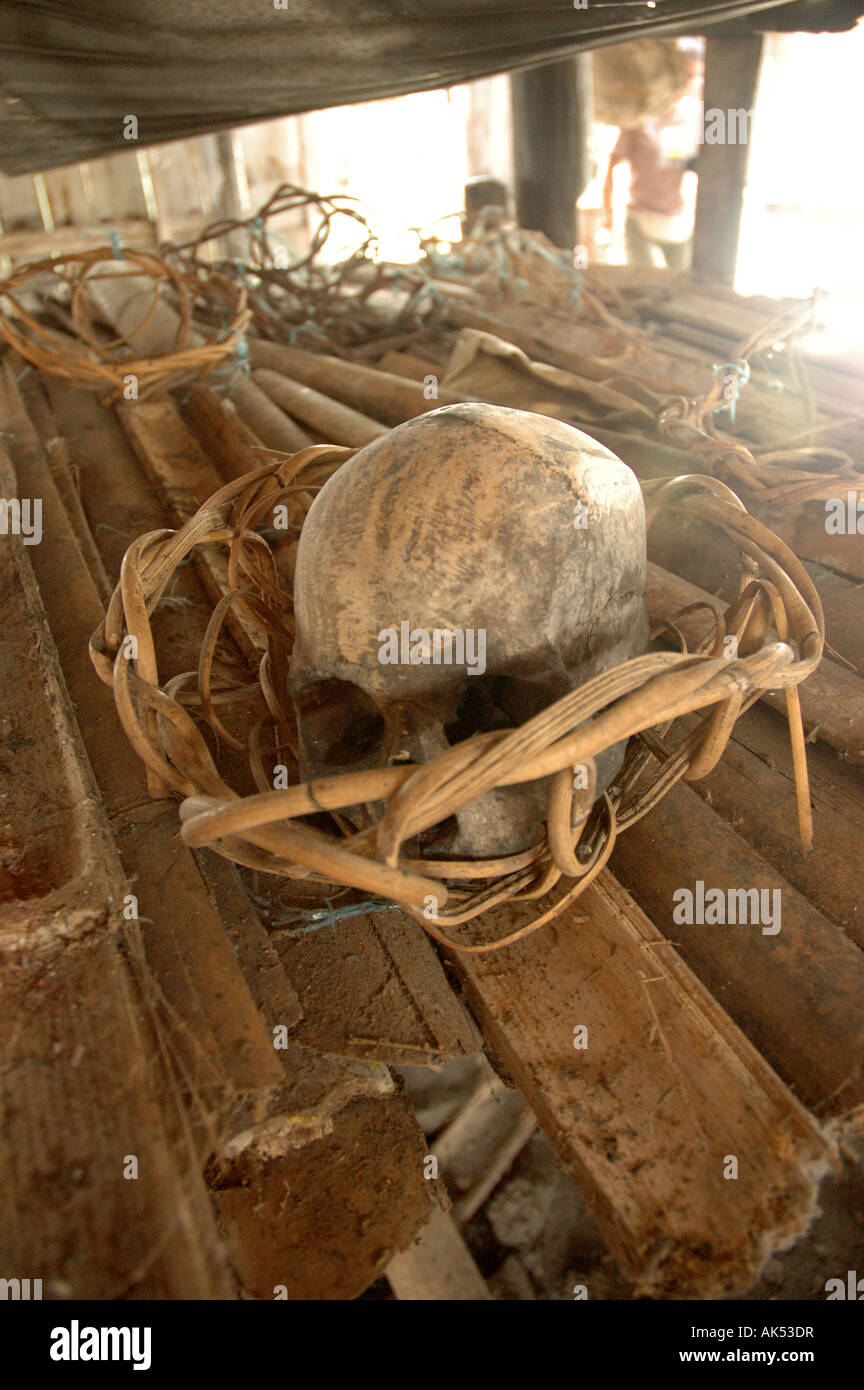 A skull from the old head hunting in a Borneo village Stock Photo - Alamy