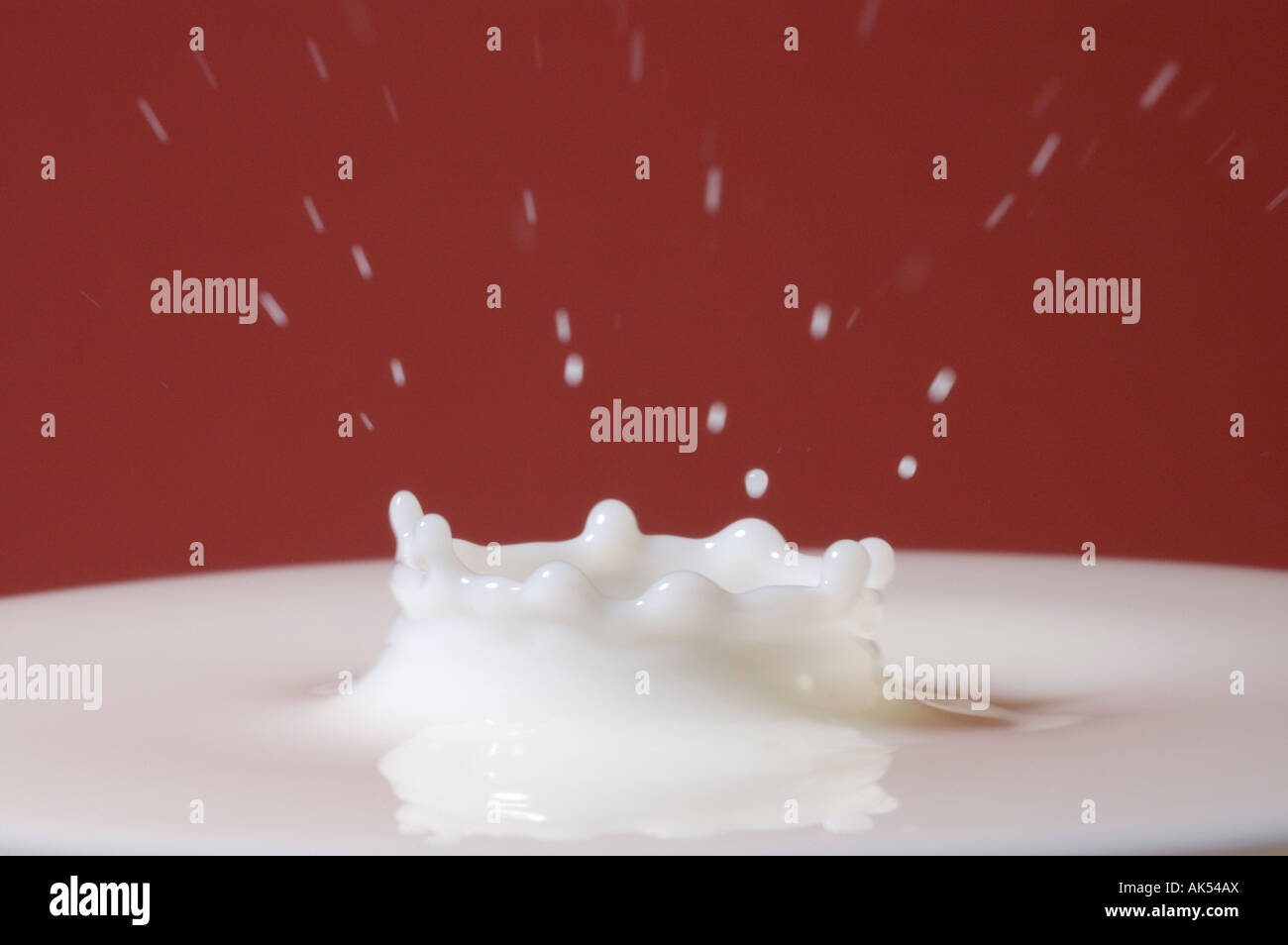 Droplet Of Milk At Lifesize Magnification Stock Photo - Alamy