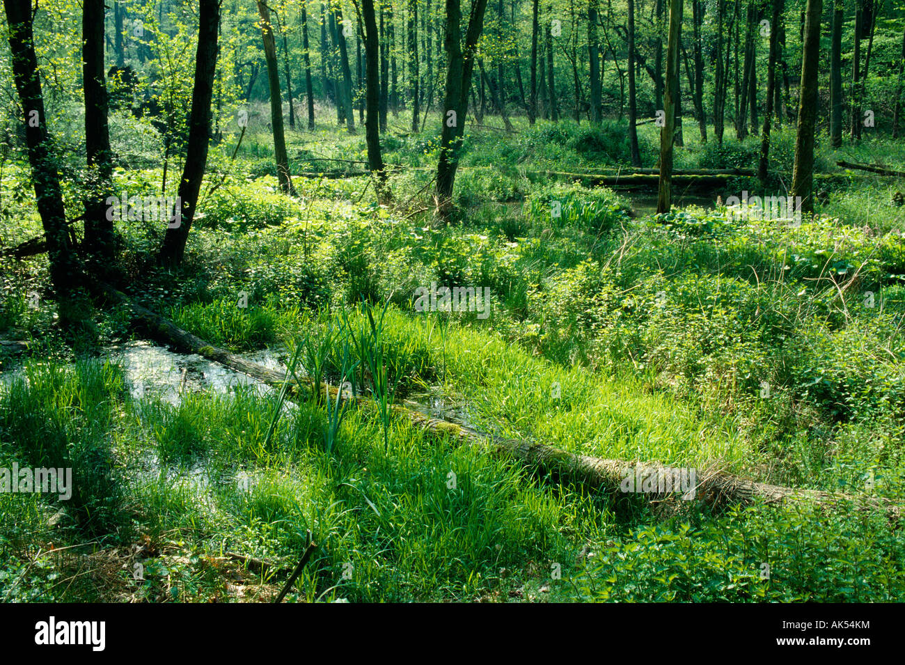 Nette valley hi-res stock photography and images - Alamy