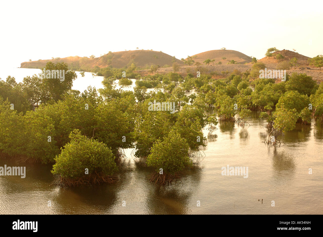Saraya island hi-res stock photography and images - Alamy