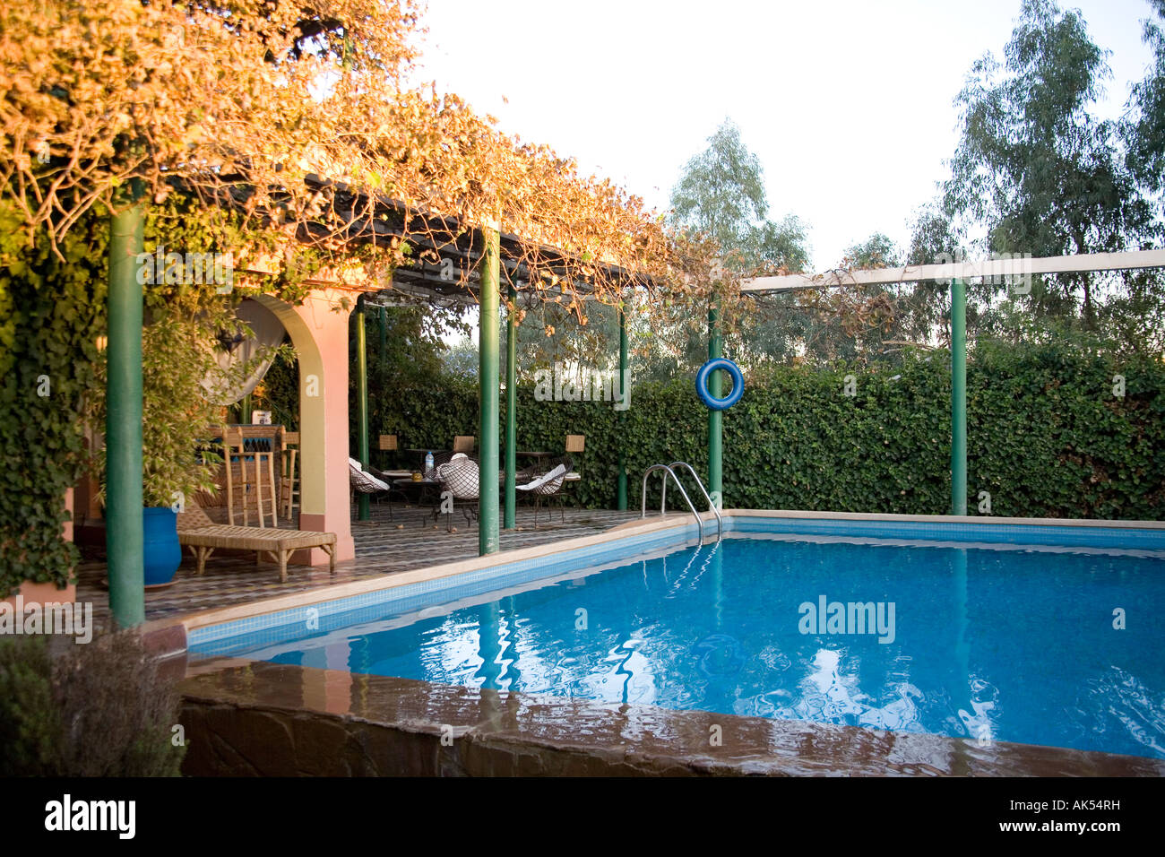 Tropical garden pool, Marrakesh, Morocco, Africa Stock Photo - Alamy