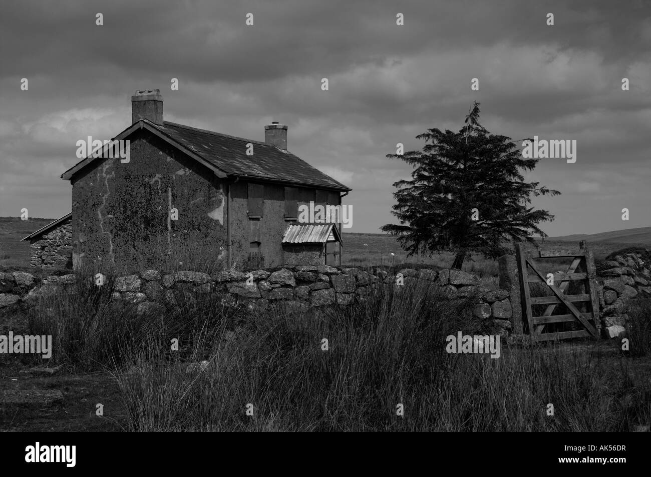 Nuns Cross Farm Dartmoor Devon UK Stock Photo - Alamy
