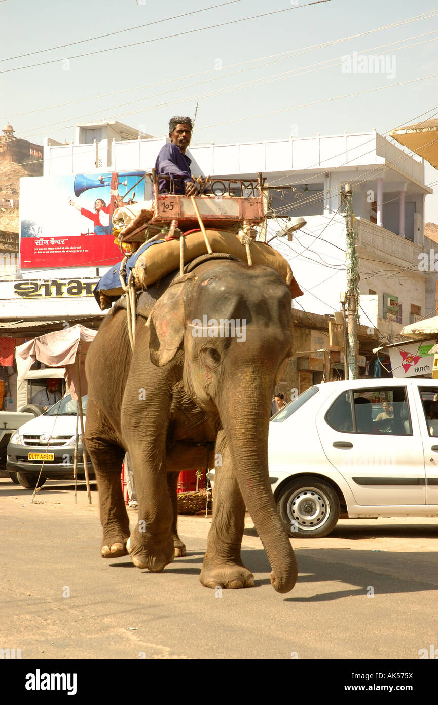 Man riding elephant through streets of Jaipur in Rajasthan India Stock ...