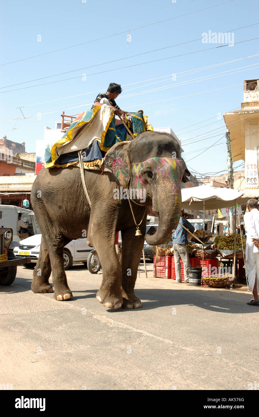 Man riding elephant through streets of Jaipur in Rajasthan India Stock ...