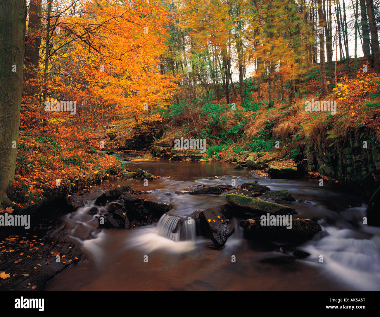Dane river hi-res stock photography and images - Alamy
