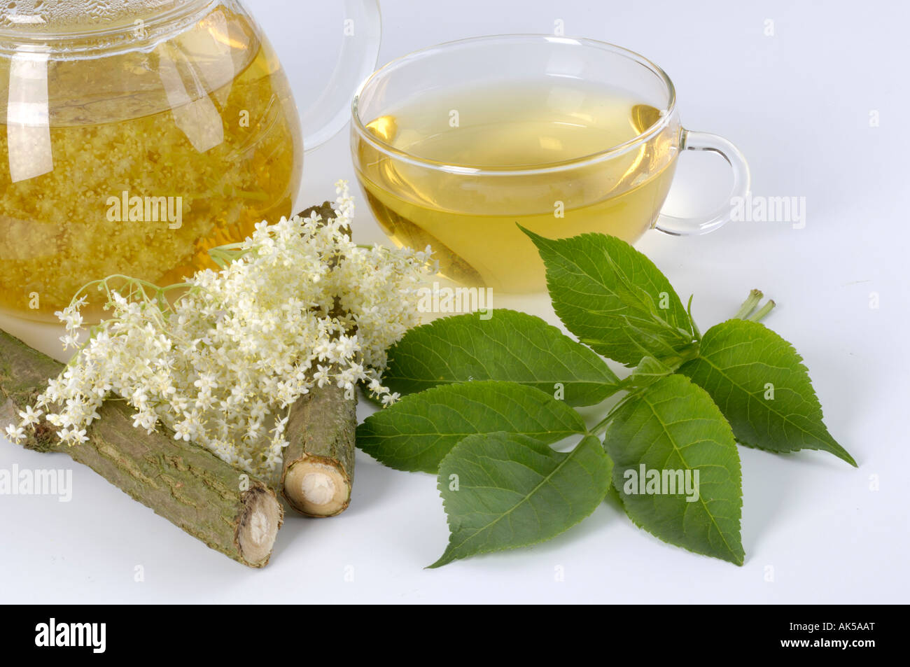 Elder bark sambucus nigra hi-res stock photography and images - Alamy