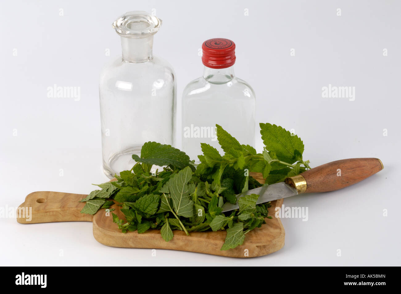 Lemon Balm / Sweet Balm Stock Photo - Alamy