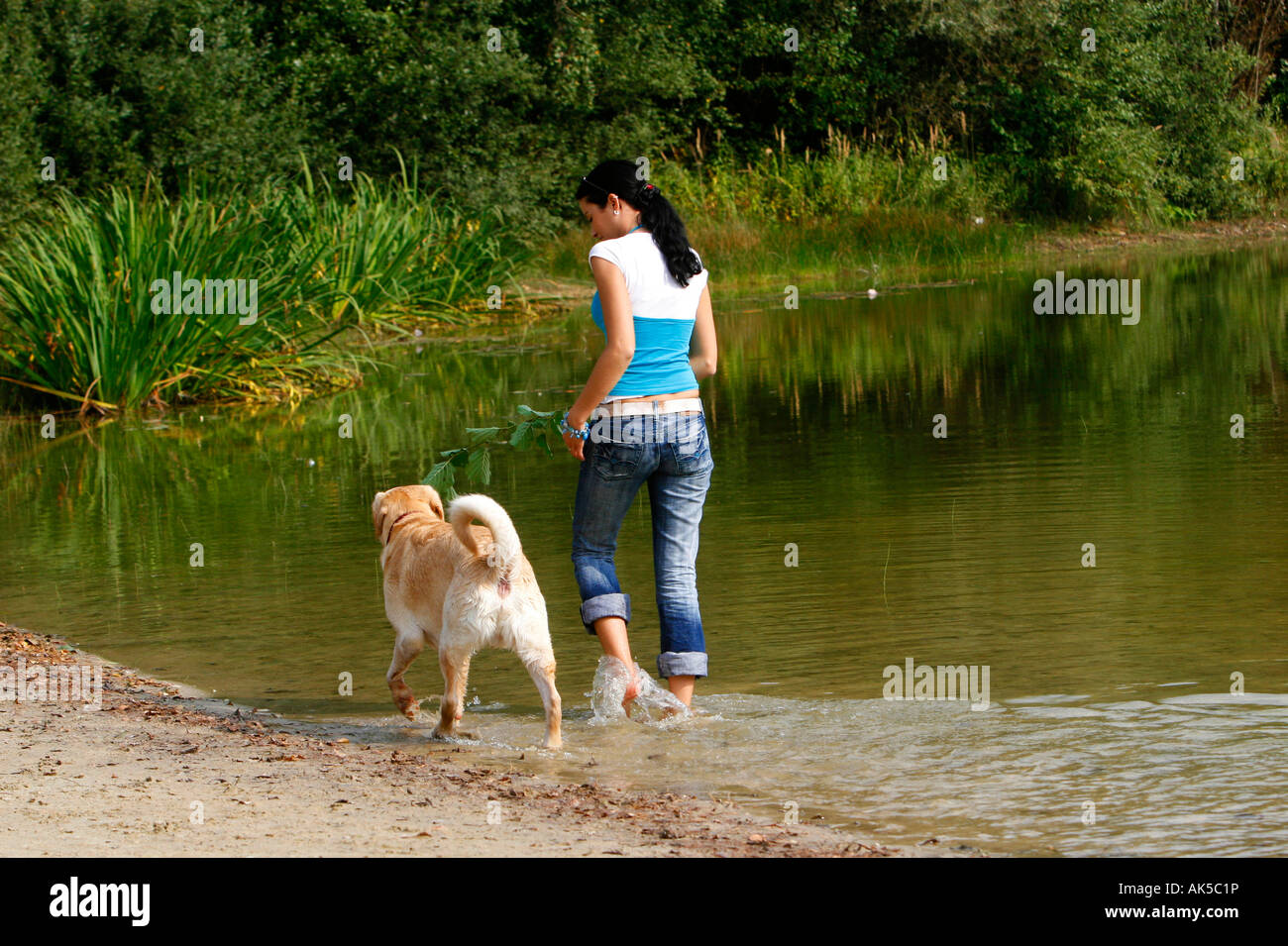 Woman with Labrador Retriever Stock Photo - Alamy