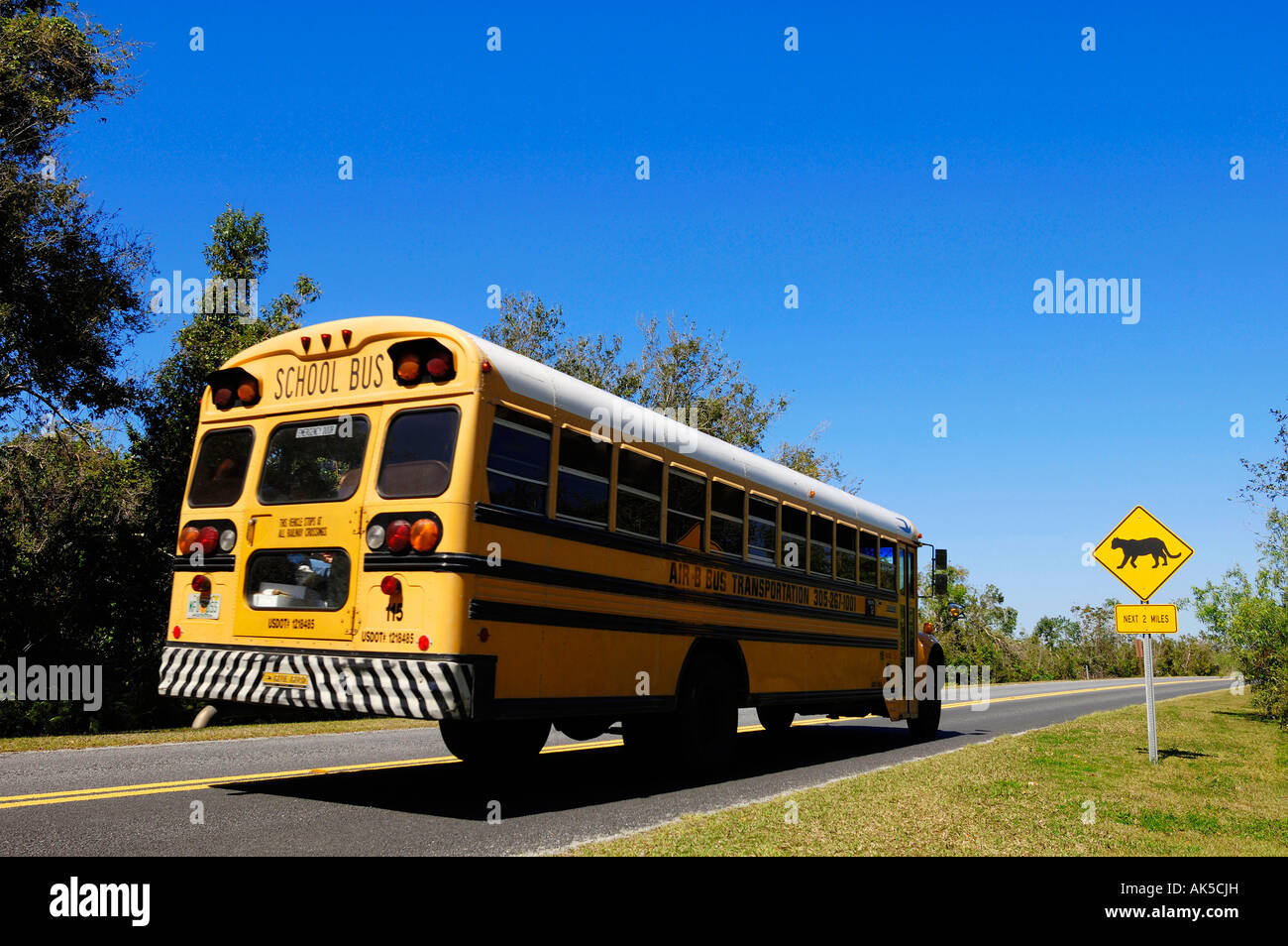 Florida school bus hi-res stock photography and images - Alamy