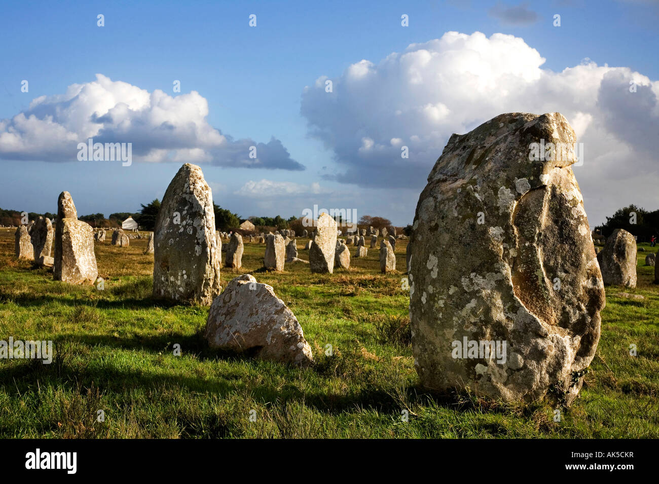 Carnac hi-res stock photography and images - Alamy
