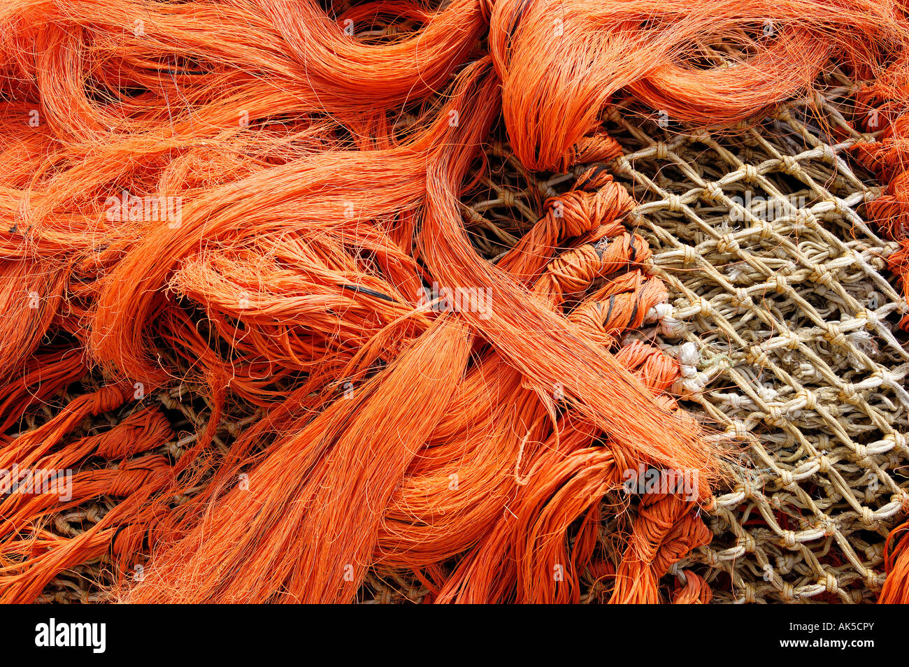 Fishernet hi-res stock photography and images - Alamy