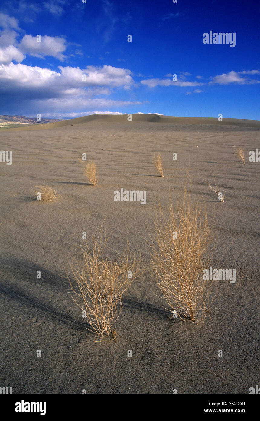 Olancha Sand Dunes on the edge of dry Owens Lake below the Sierra ...