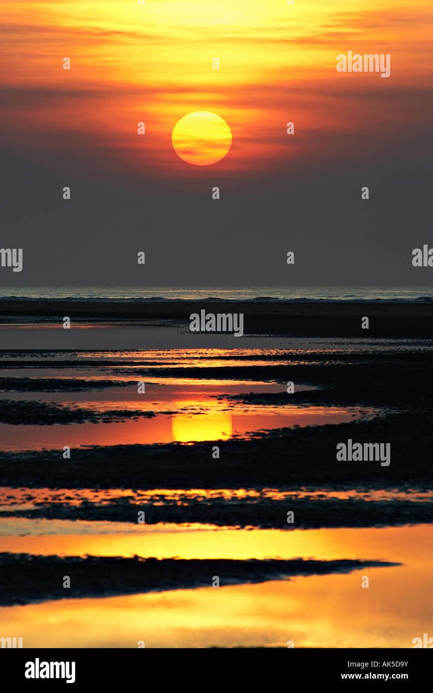 The sun about to disappear below the horizon with strong golden ...