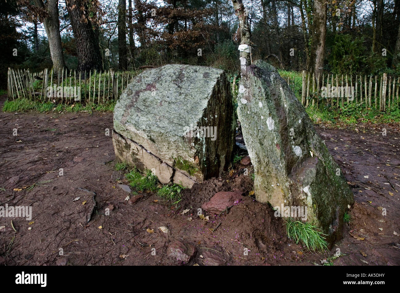 Grave of Merlin / Paimpont Stock Photo - Alamy