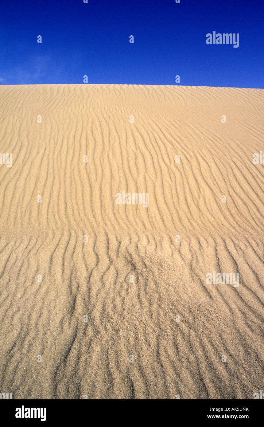 Olancha Sand Dunes on the edge of dry Owens Lake below the Sierra ...