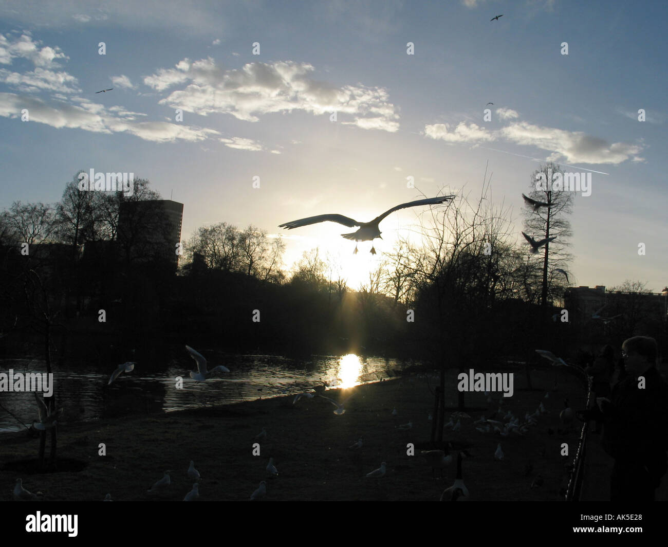 Sunset over St James Park London Stock Photo - Alamy