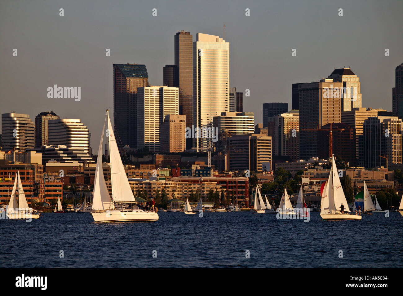 Duck dodge hi-res stock photography and images - Alamy