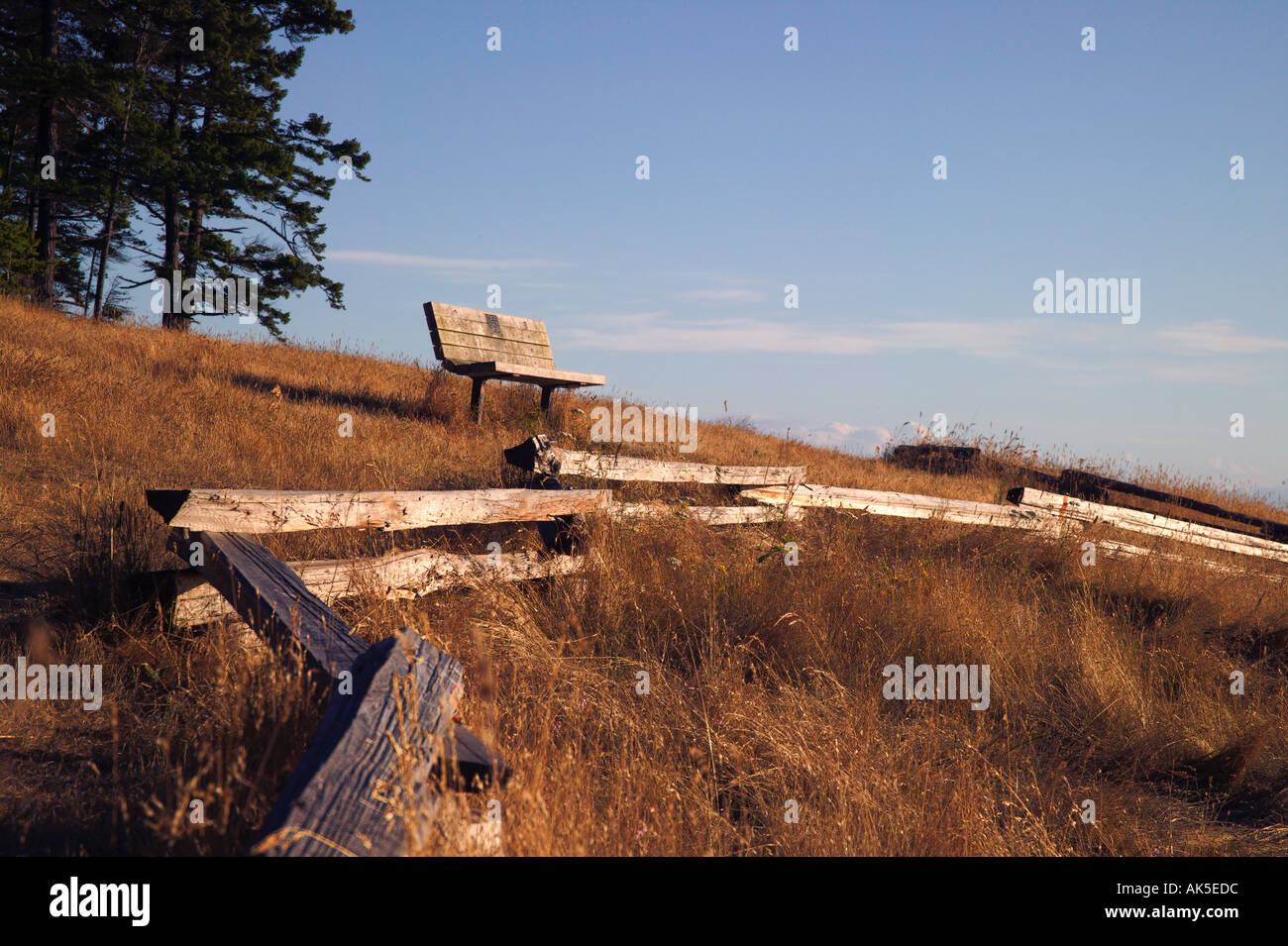 On the island of fidalgo hi-res stock photography and images - Alamy