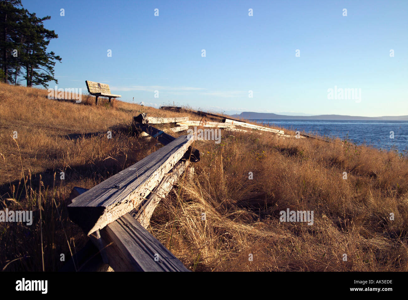 None background hi-res stock photography and images - Alamy