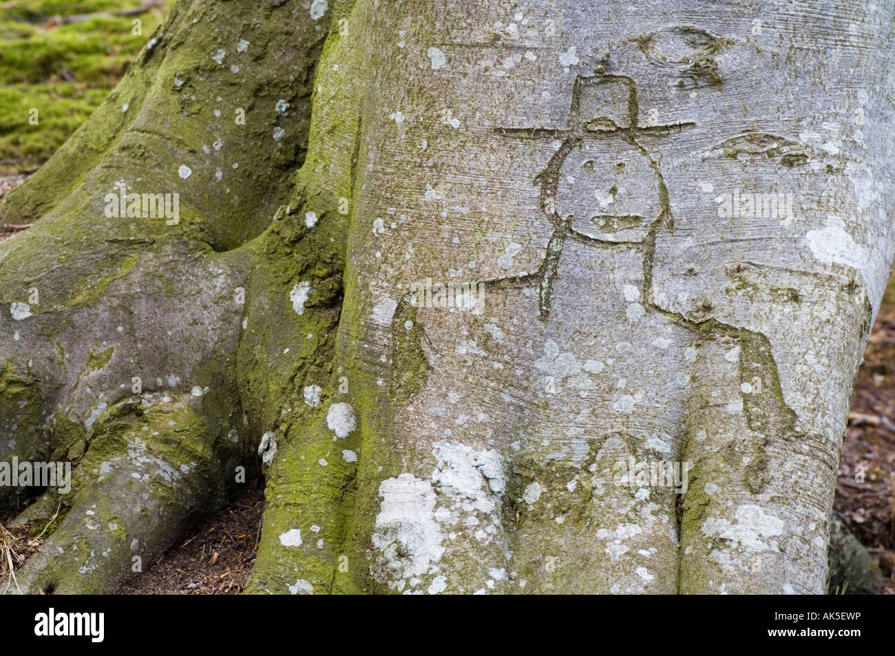 Carving in Beech Stock Photo - Alamy