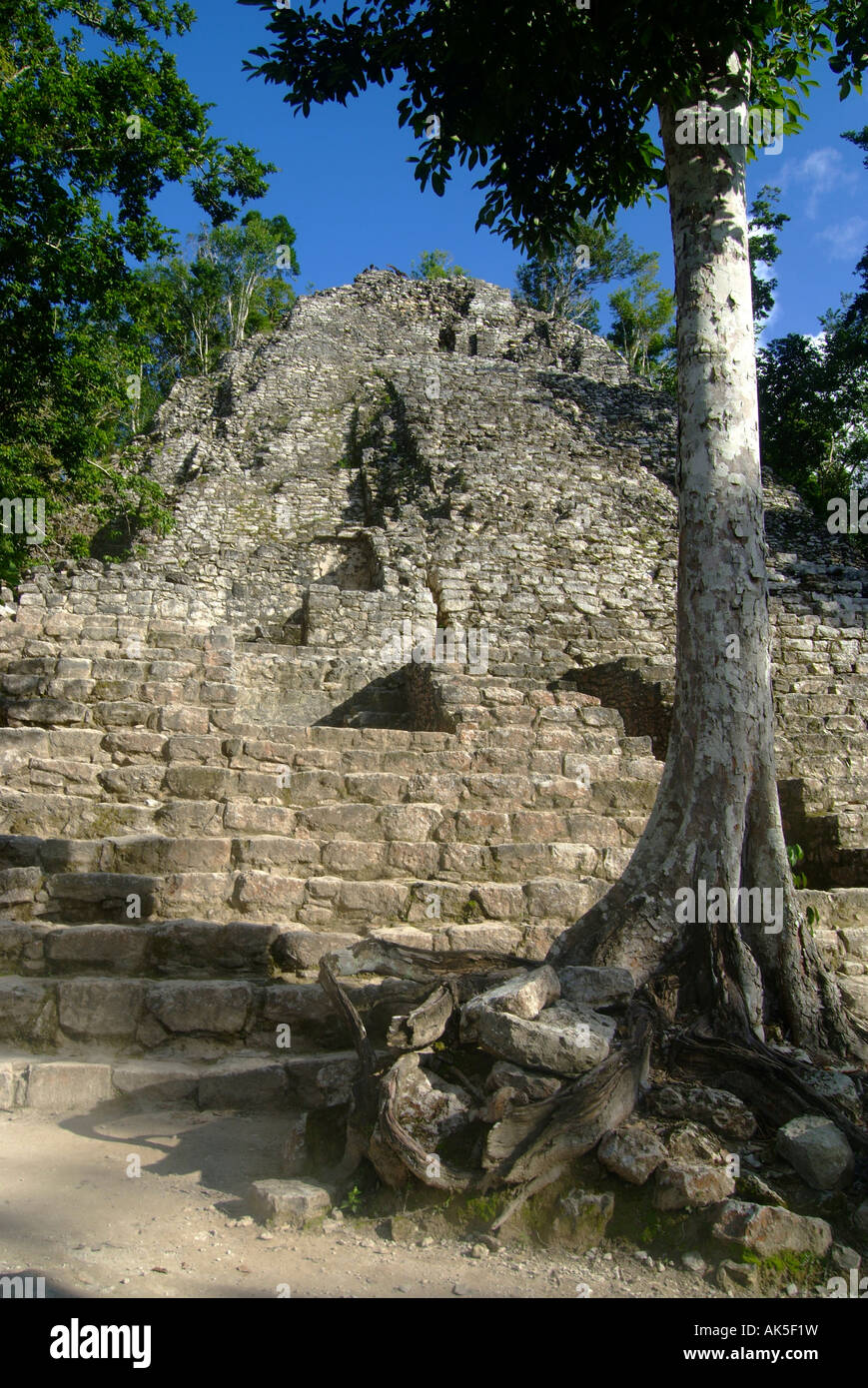 Coba mexico lake hi-res stock photography and images - Alamy