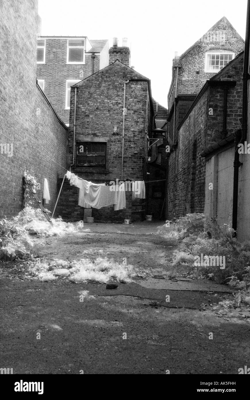 Victorian washing line hi-res stock photography and images - Alamy