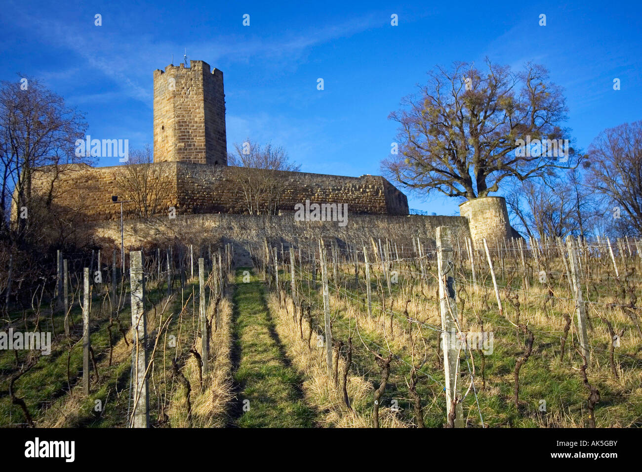 Castle Steinsberg / Sinsheim Stock Photo - Alamy