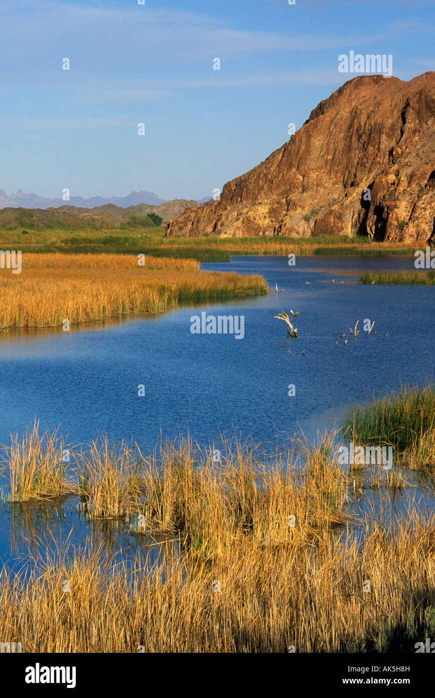 Stewart Lake at Picacho State Recreation Area in the California Desert ...
