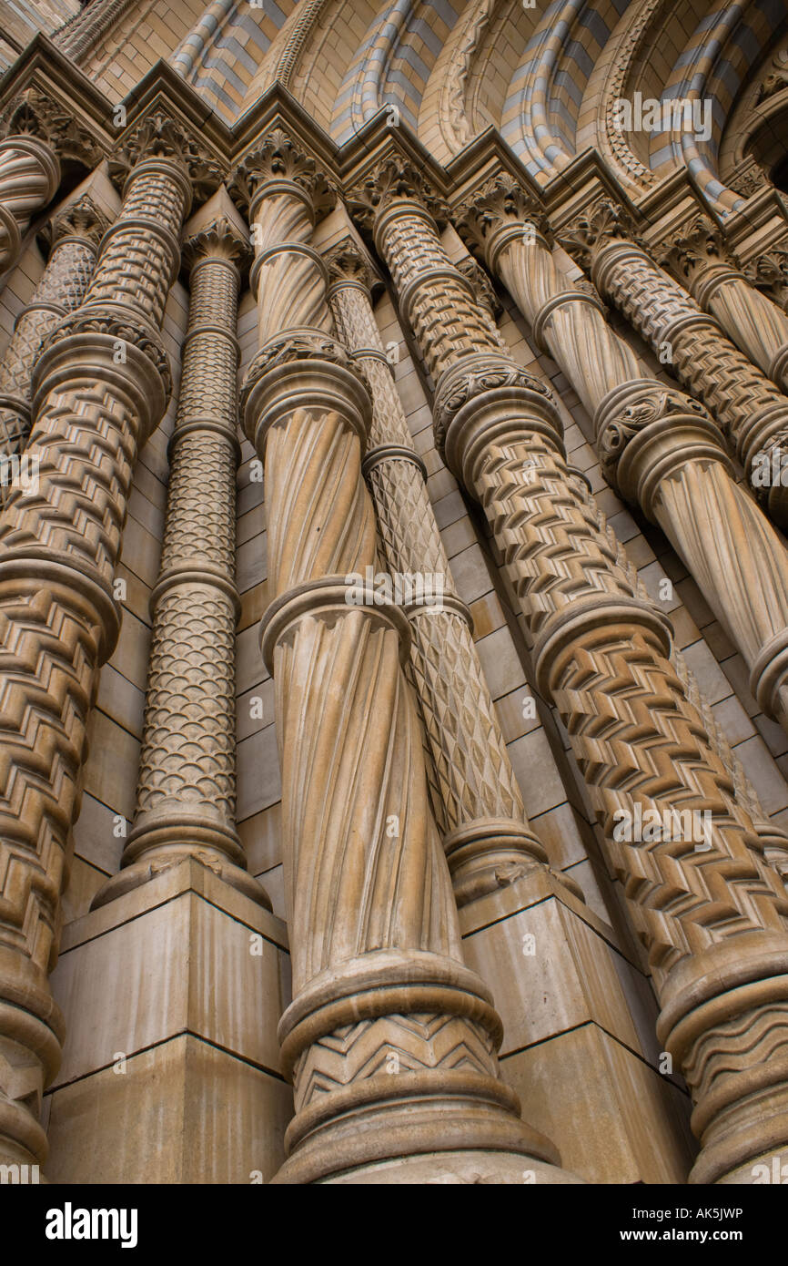 London the Natural History Museum - pillars at the entrance Stock Photo ...