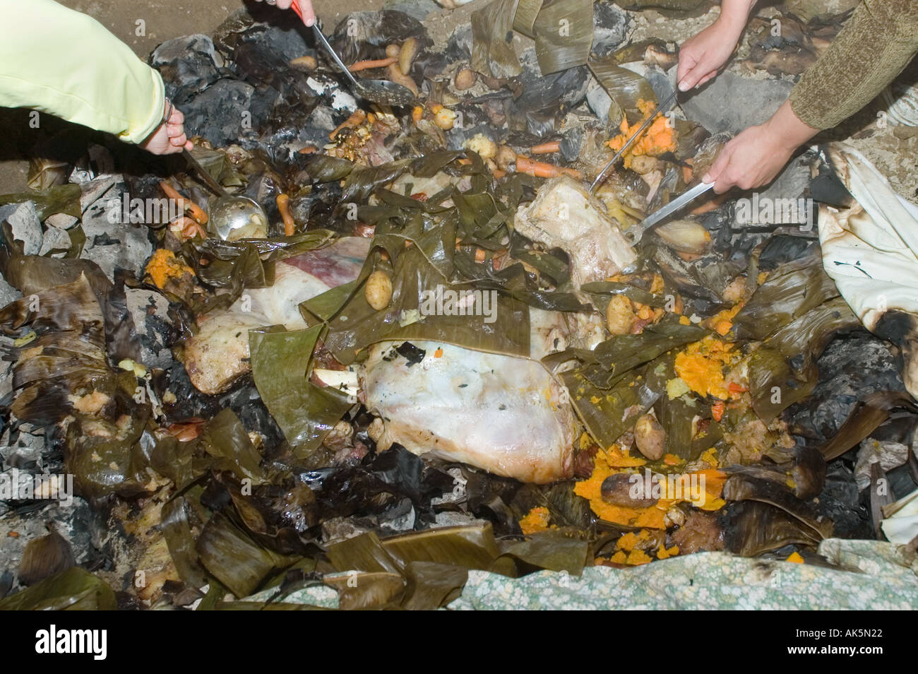 opening the pit oven at a curanto cooking in a pit oven vegetables and ...