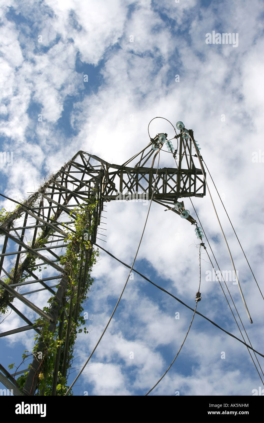Broken trellis hi-res stock photography and images - Alamy