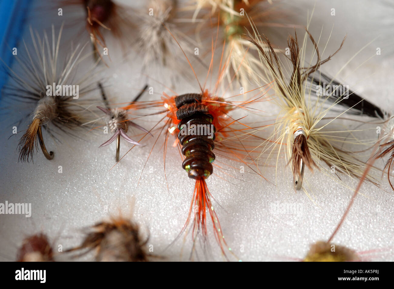 Fly Fishing flies Stock Photo - Alamy