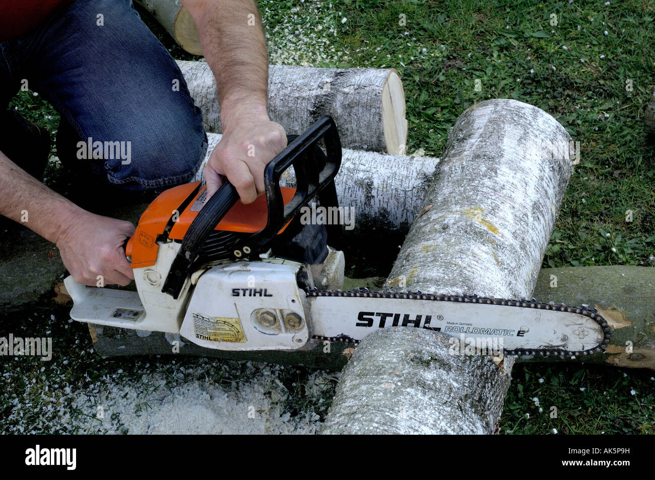 Cutting tree trunk Stock Photo - Alamy