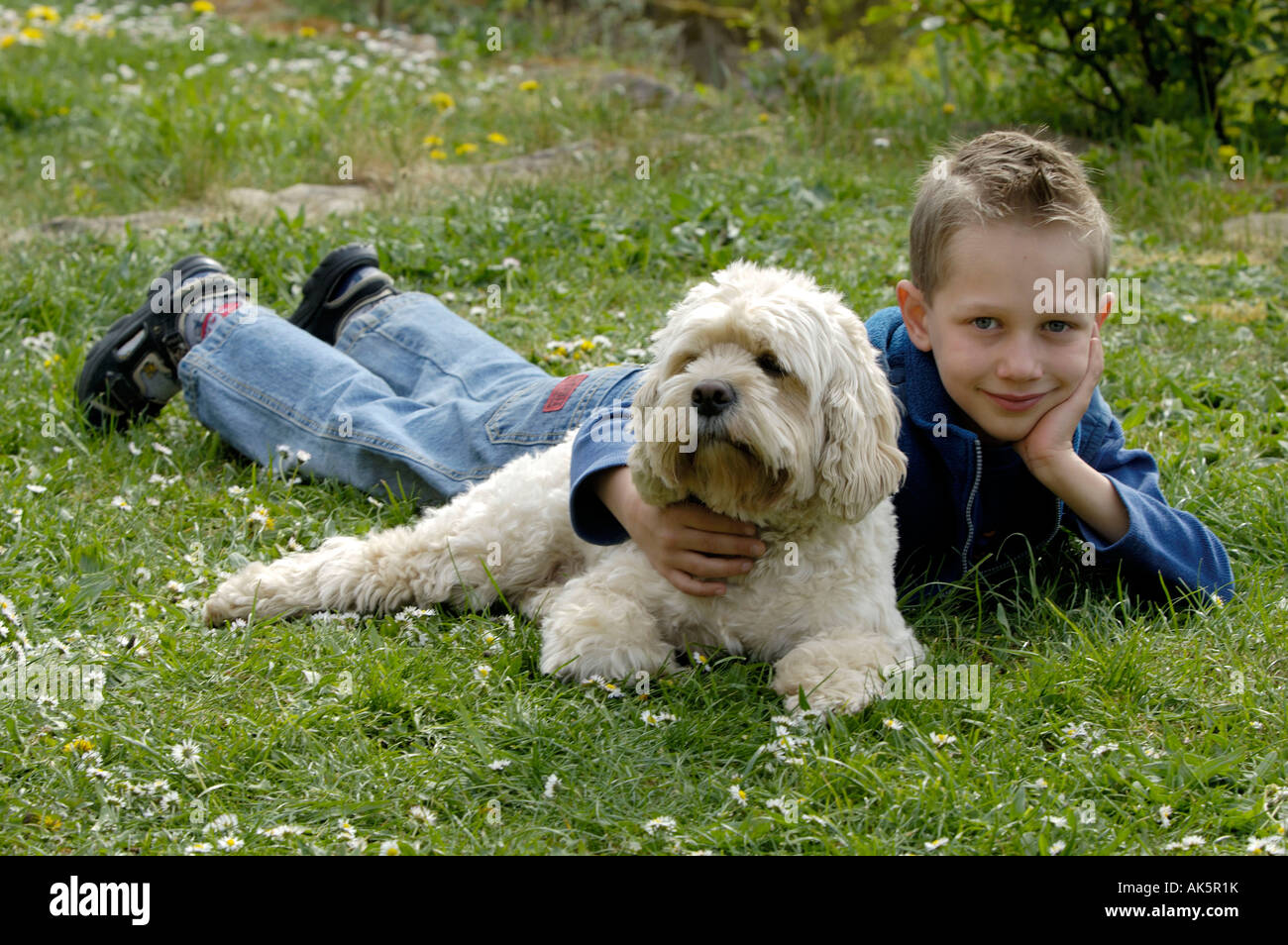 Boy with Mixed Breed Dog Stock Photo - Alamy