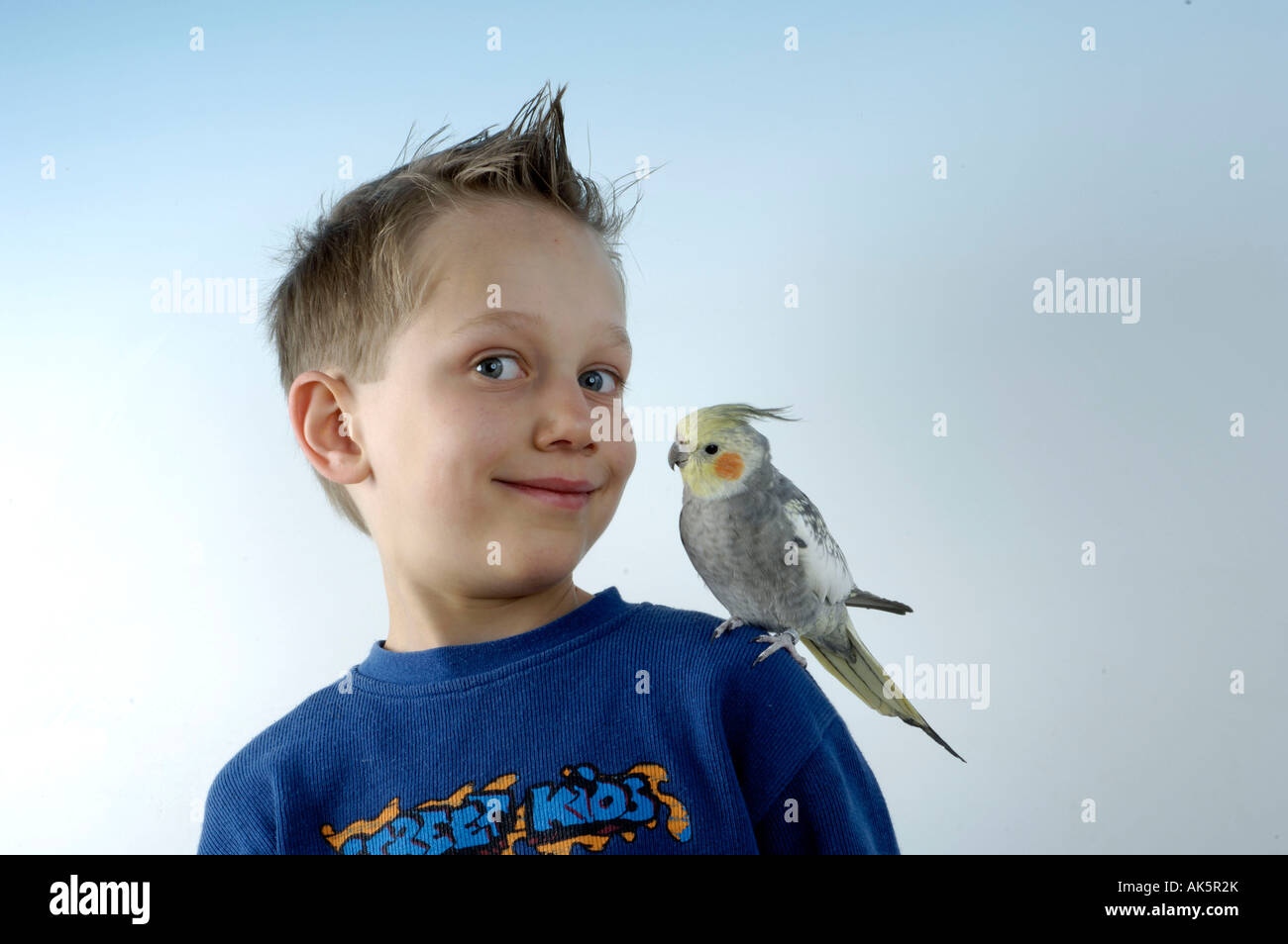 Cockatiel and child hi-res stock photography and images - Alamy