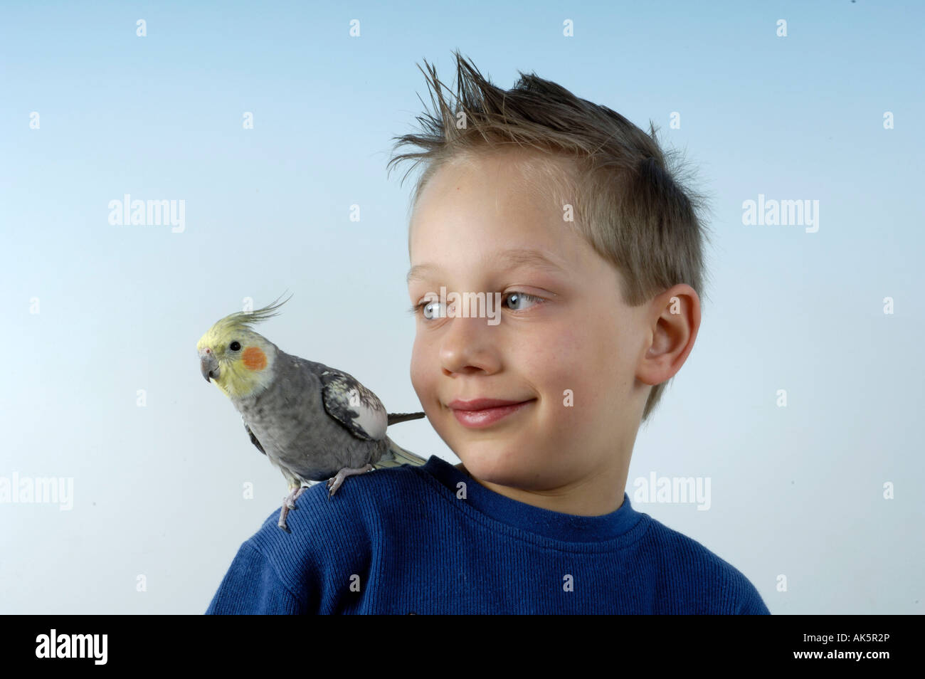 Boy with Cockatiel Stock Photo - Alamy